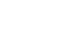 PEN/Hemingway Award Judge | The PEN/Faulkner Foundation